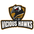 R6 Esports | Vicious Hawks